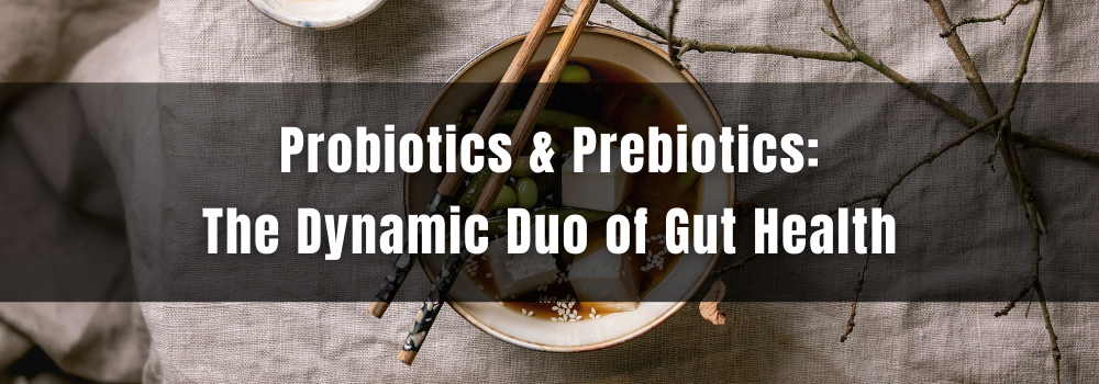 Probiotics & Prebiotics: The Dynamic Duo of Gut Health – JUST BETTER BRANDS