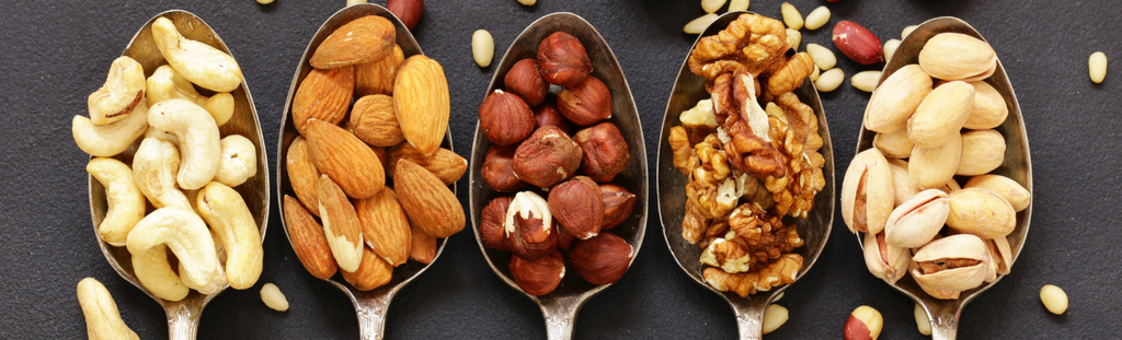 The Prebiotic Power of Nuts – JUST BETTER BRANDS